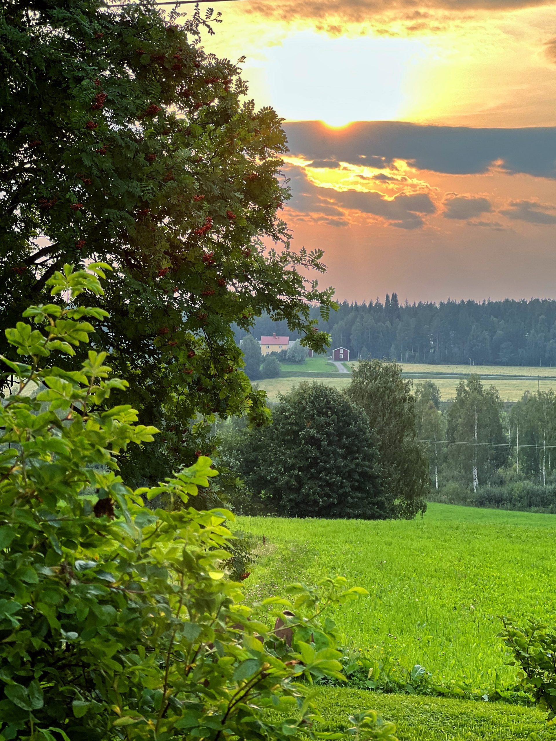 En stympad sommar - Claras vardag - UnderbaraClara