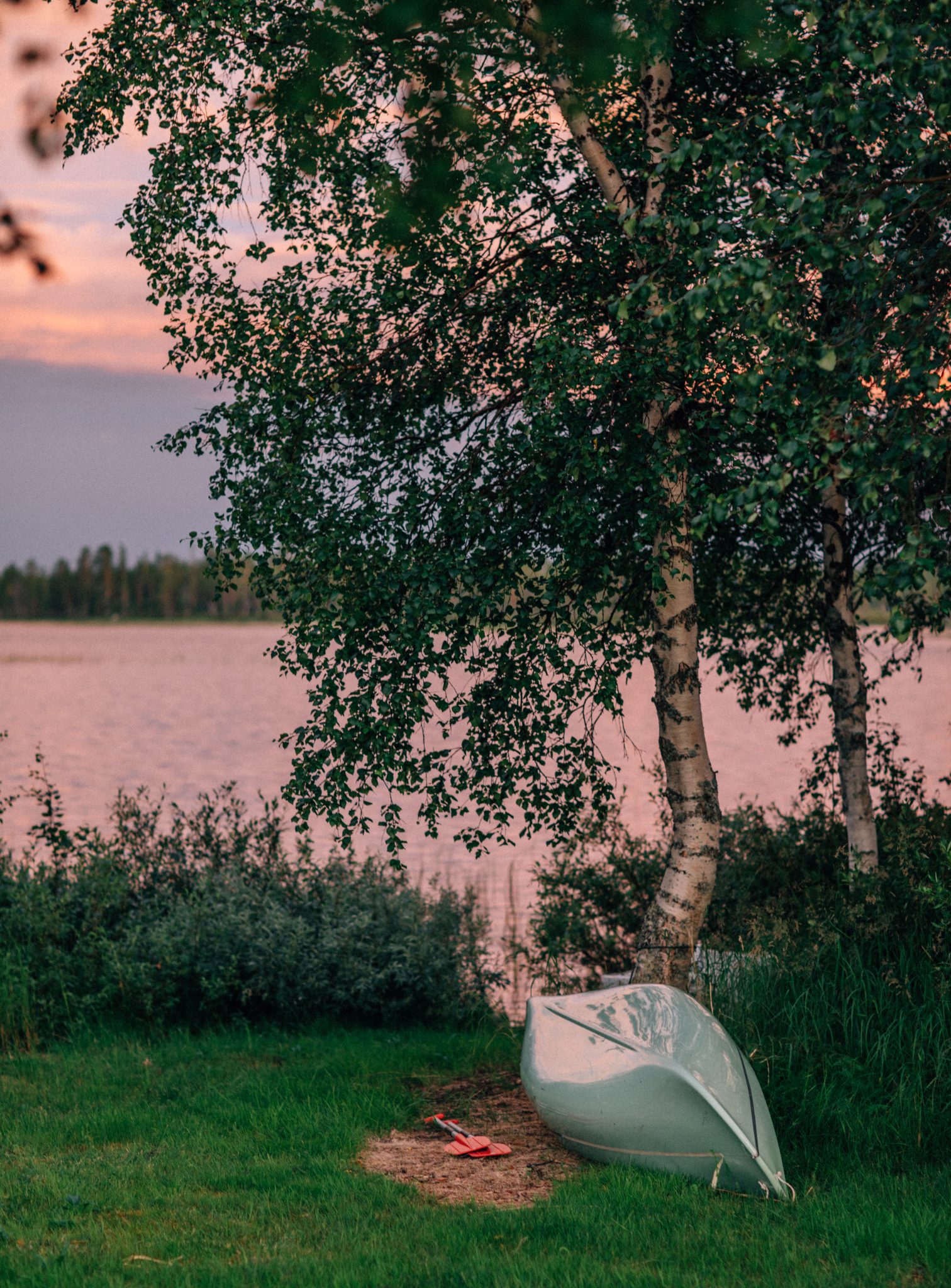 Sommaren är en konstig sort - Clara Premium, Claras vardag - UnderbaraClara